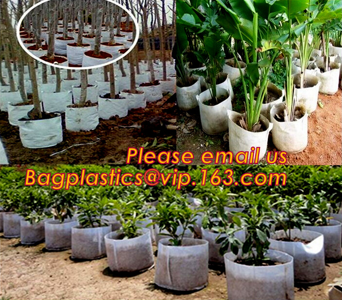 Grow Bags with Flap and Handles Collapsible 10 gallons,garden plant ...