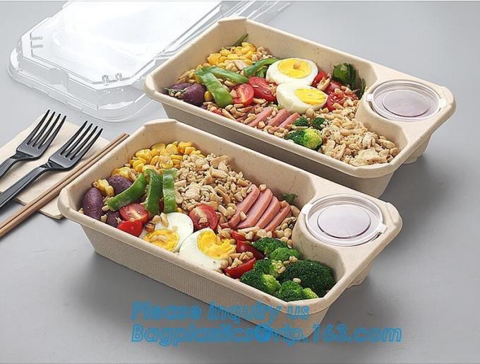 Compartment hinged container sugarcane bassage pulp food serving box ...