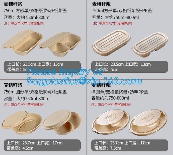 Compartment hinged container sugarcane bassage pulp food serving box ...