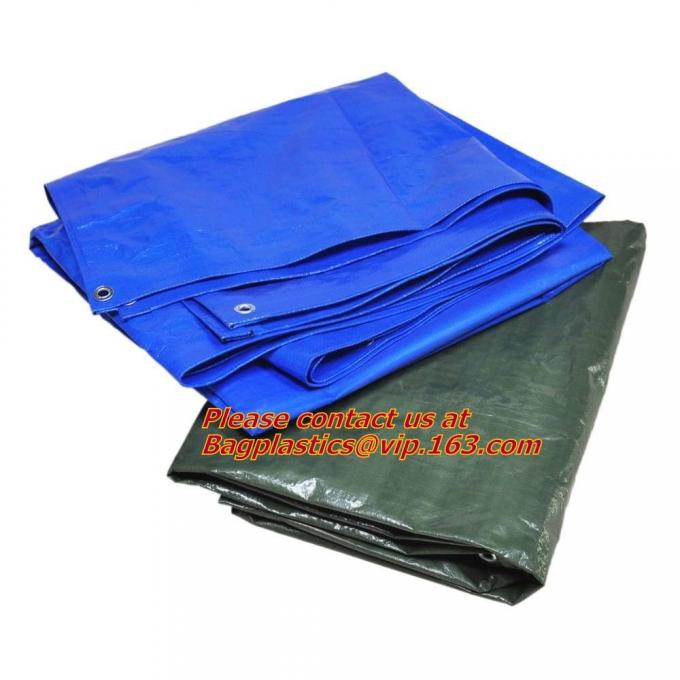 60gsm, 120gsm, 160gsm, 220gsm, 260gsm LDPE Laminated High Density Polyethylene HDPE PE Tarpaulin ...