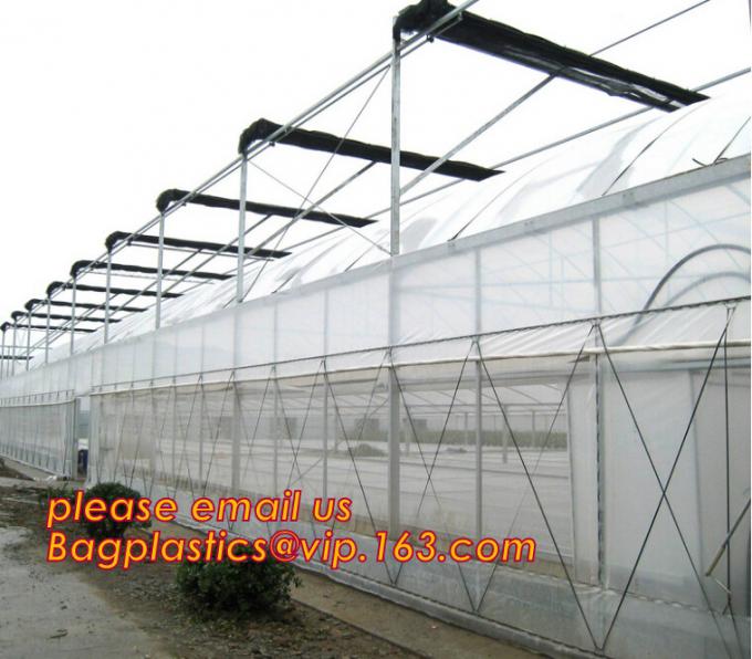 insect repellent net/20x10 Anti Aphid Net/Greenhouse/Agriculture insect ...